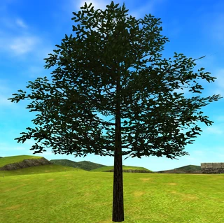 Tree - Zelda Wiki