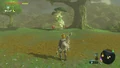 Hestu - Zelda Wiki