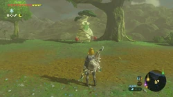 Hestu