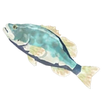 Frozen Hearty Bass - Zelda Wiki