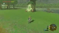 Hestu - Zelda Wiki