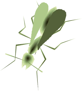 Golden Bug - Zelda Wiki