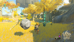 Long Stick - Zelda Wiki