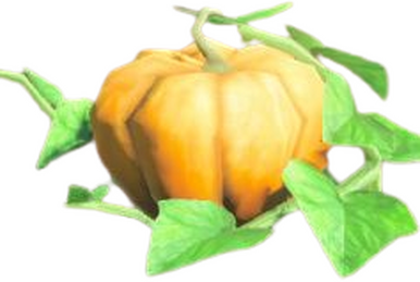 how to make pumpkin pie in zelda