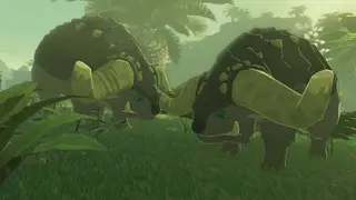 Dondon - Zelda Wiki