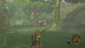 Woodland Boar - Zelda Wiki