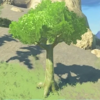 Evermean - Zelda Wiki