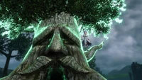 The Great Deku Tree - Zelda Wiki