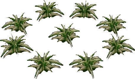 Rustling Grass - Zelda Wiki