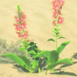 Breath Of The Wild Flowers List - Home Alqu