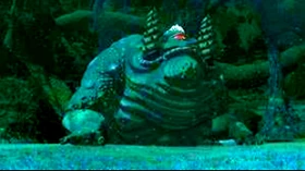 Blue-White Frox - Zelda Wiki