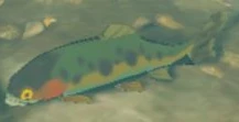 Voltfin Trout - Zelda Wiki