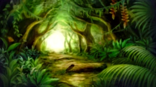 Jungle - Zelda Wiki