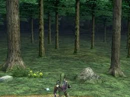 Dagger of Darkness Part 2 - Canopy Maze | Zelda Fanon Wiki | Fandom