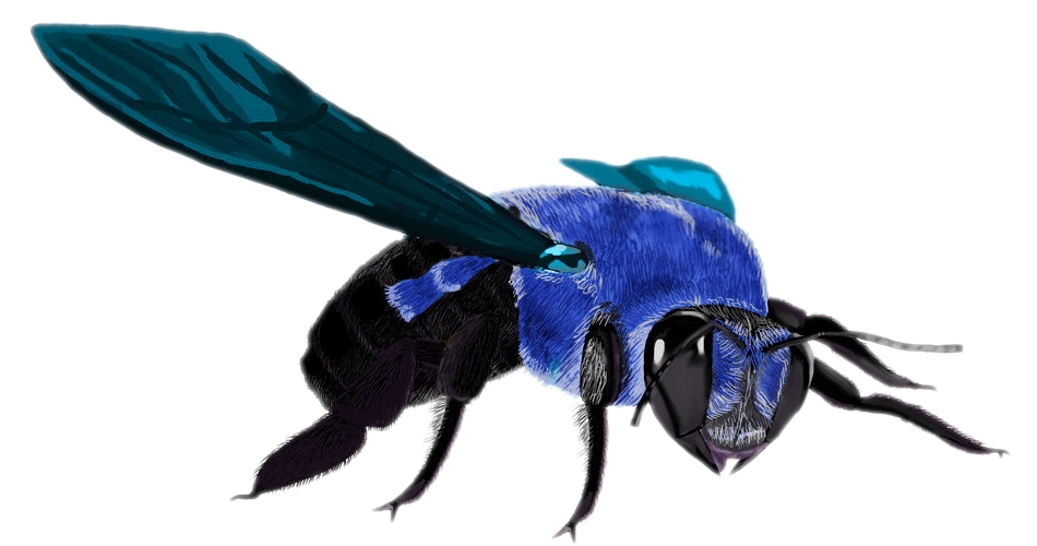 Boon | The Legend of Zelda: Realms of Shadow Wiki | Fandom