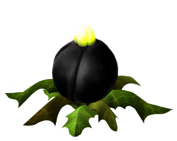 Bomb Flower | The Legend of Zelda: Realms of Shadow Wiki | Fandom