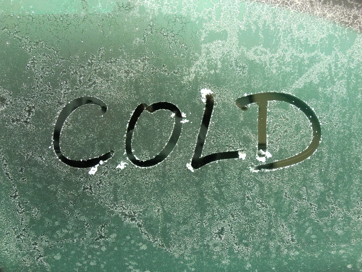 Cold Family | Zen Garden Wiki | Fandom