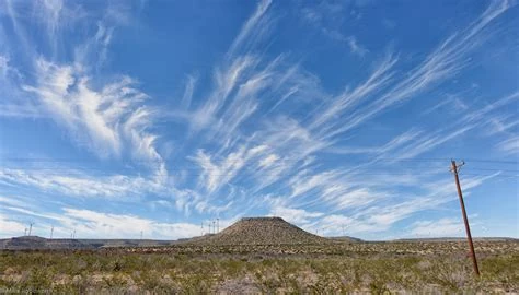 Wind | Zen Garden Wiki | Fandom