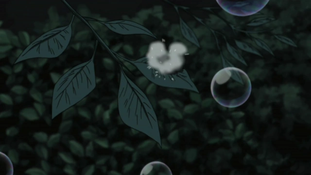 Santoka | ZeniWiki's Wikia | Fandom