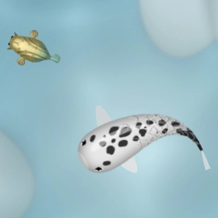 Puffer Fish | Zenkoi Wikia | Fandom