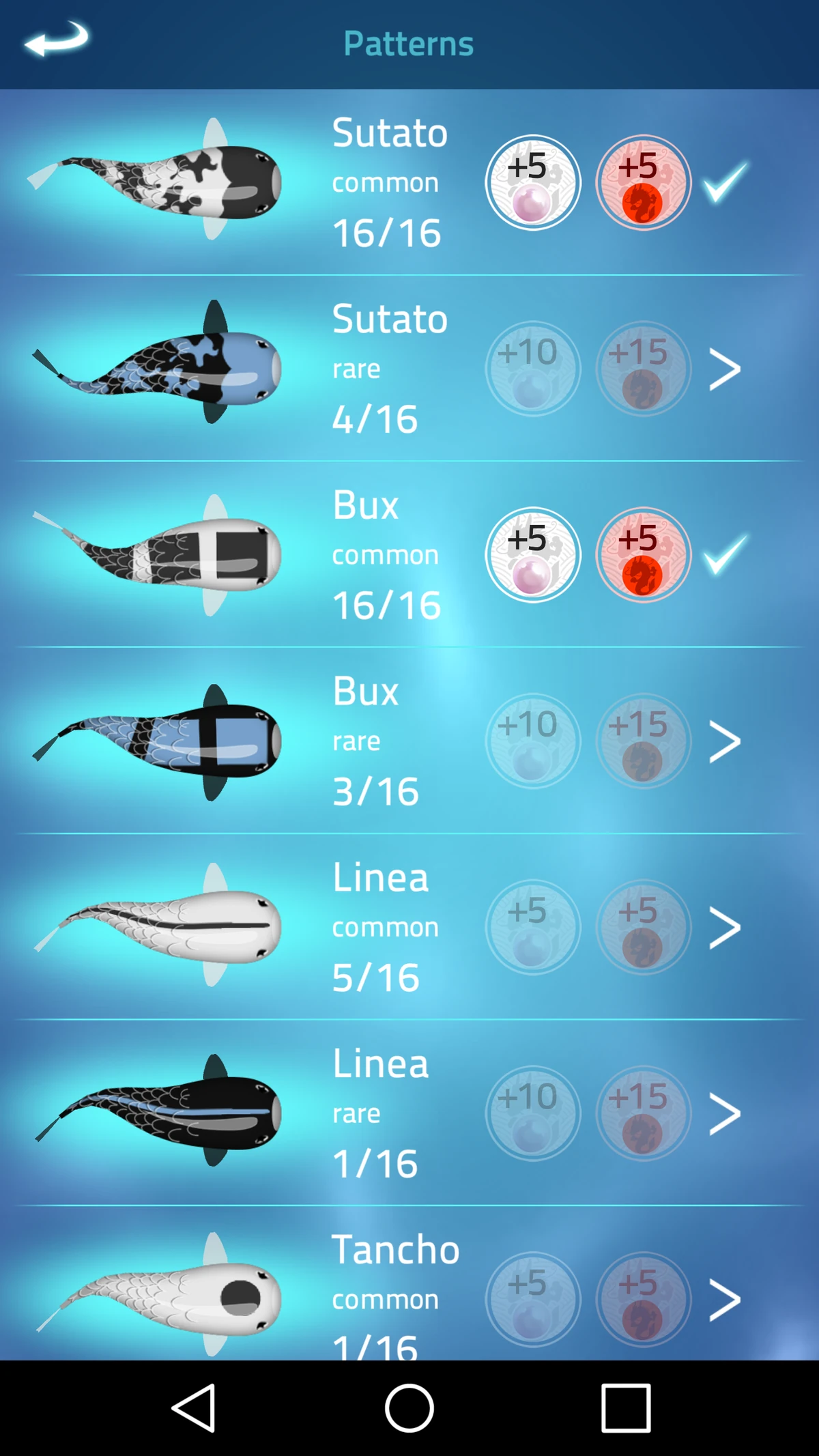 Collection | Zenkoi Wikia | Fandom