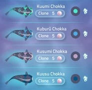 Chokka | Zen Koi 2 Wiki | Fandom