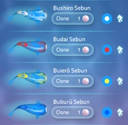 Sebun | Zen Koi 2 Wiki | Fandom