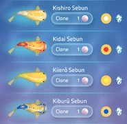 Sebun | Zen Koi 2 Wiki | Fandom