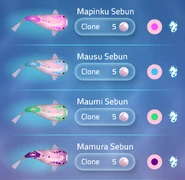 Sebun | Zen Koi 2 Wiki | Fandom