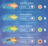 Sebun | Zen Koi 2 Wiki | Fandom