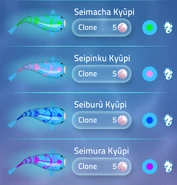 Kyūpi | Zen Koi 2 Wiki | Fandom