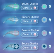 Chokka | Zen Koi 2 Wiki | Fandom