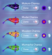 Chansu | Zen Koi 2 Wiki | Fandom