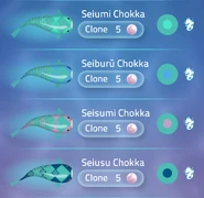 Chokka | Zen Koi 2 Wiki | Fandom