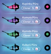 Pūru | Zen Koi 2 Wiki | Fandom