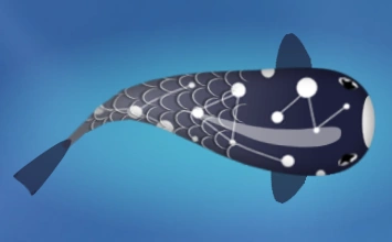 Seiza | Zen Koi 2 Wiki | Fandom