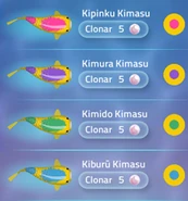 Kimasu | Zen Koi 2 Wiki | Fandom