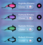 Kimasu | Zen Koi 2 Wiki | Fandom