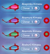 Kimasu | Zen Koi 2 Wiki | Fandom