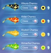 Chansu | Zen Koi 2 Wiki | Fandom