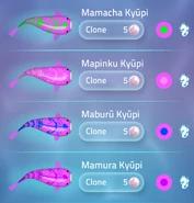 Kyūpi | Zen Koi 2 Wiki | Fandom