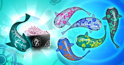 Kōkai | Zen Koi 2 Wiki | Fandom