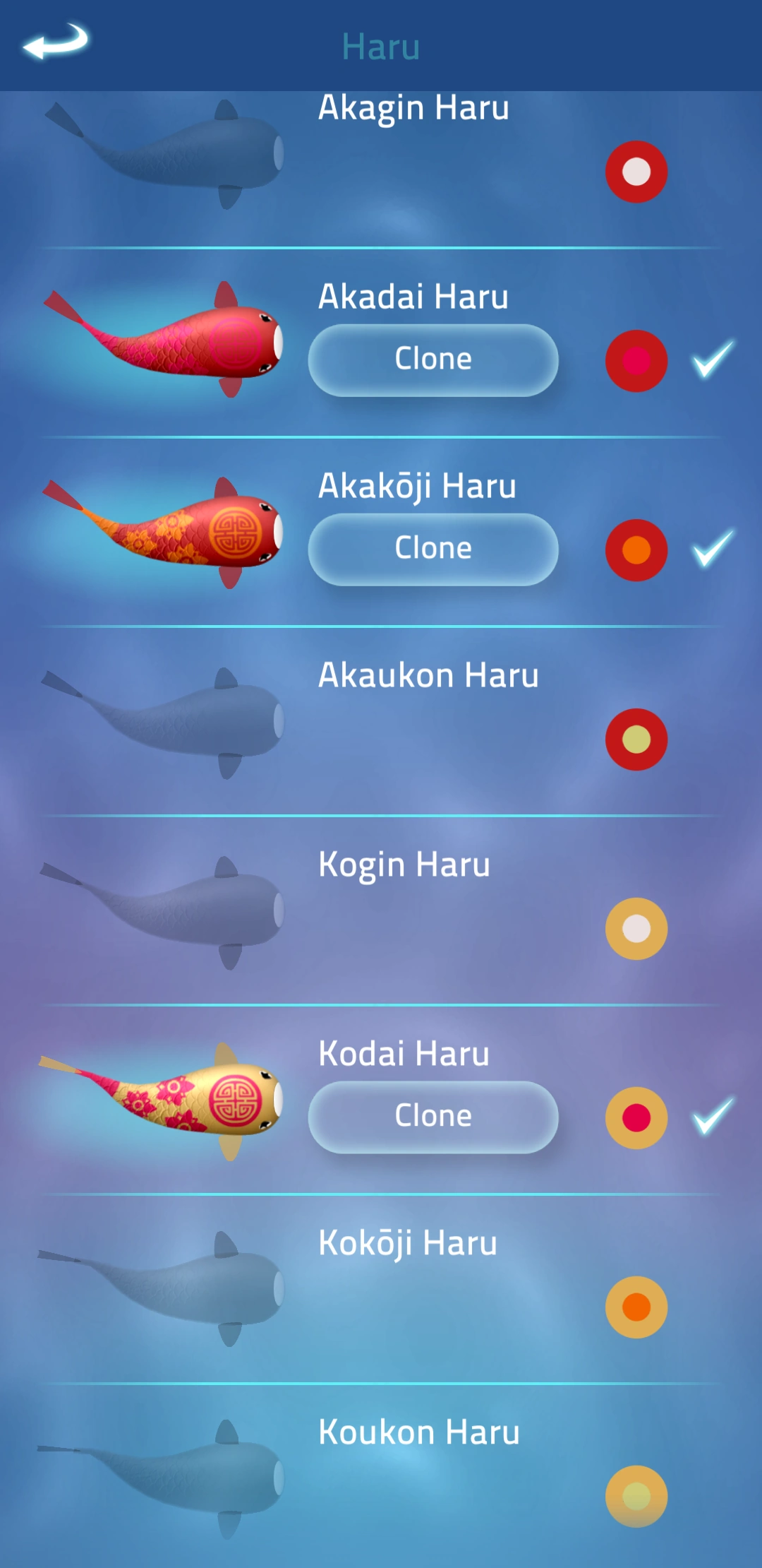 Haru | Zen Koi Pro Wiki | Fandom