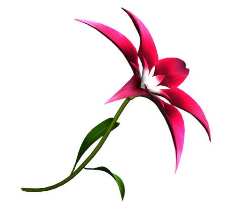 Flower | Zenless Zone Zero Wiki | Fandom