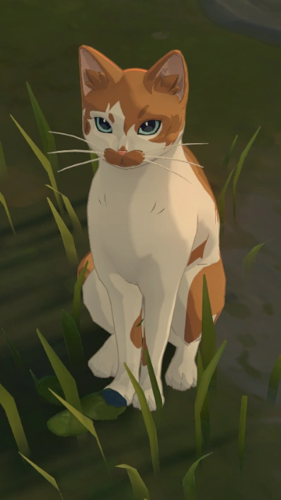 Energetic Cat | Zenless Zone Zero Wiki | Fandom