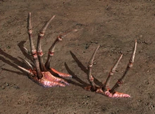 Creep Claw | Zerg Expanded Wiki | Fandom