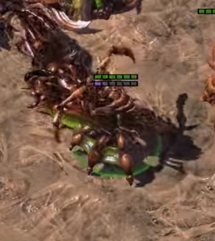 Empress | Zerg Expanded Wiki | Fandom