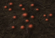 Infestation | Zerg Expanded Wiki | Fandom