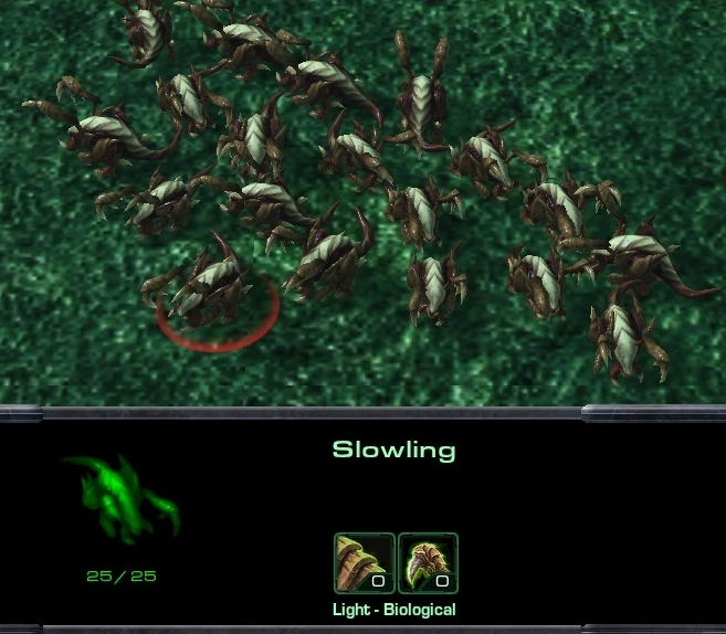 Zerg Unit | Zerg Hex Fanpage Wiki | Fandom