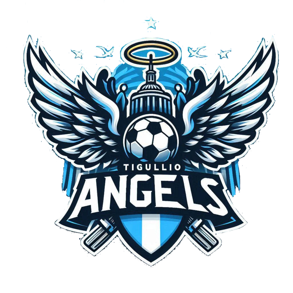 Tigullio Angels | ZerliLeaguePedia Wiki | Fandom